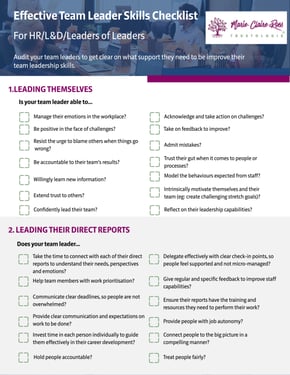 Team Leader Assessment