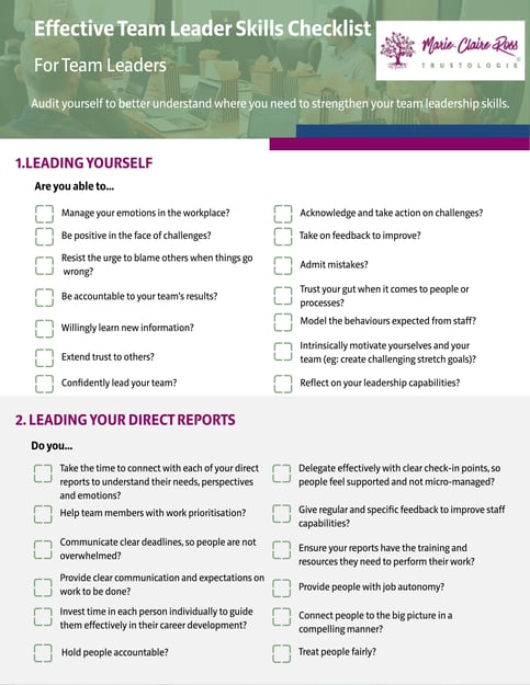 Team Leader Assessment